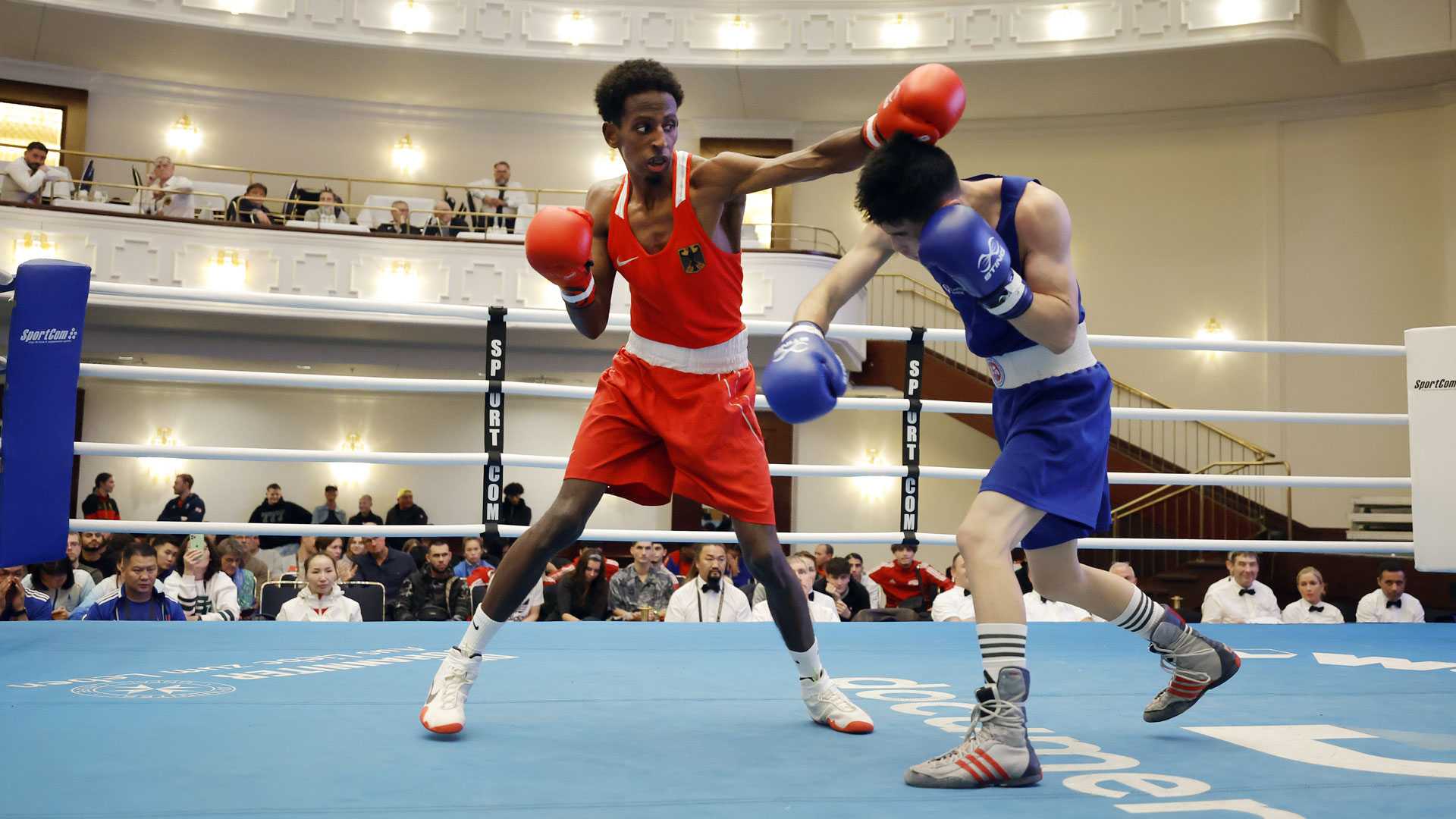 Cologne Boxing Cup: In neun Kämpfen sechs Siege für den DBV - Deutscher ...