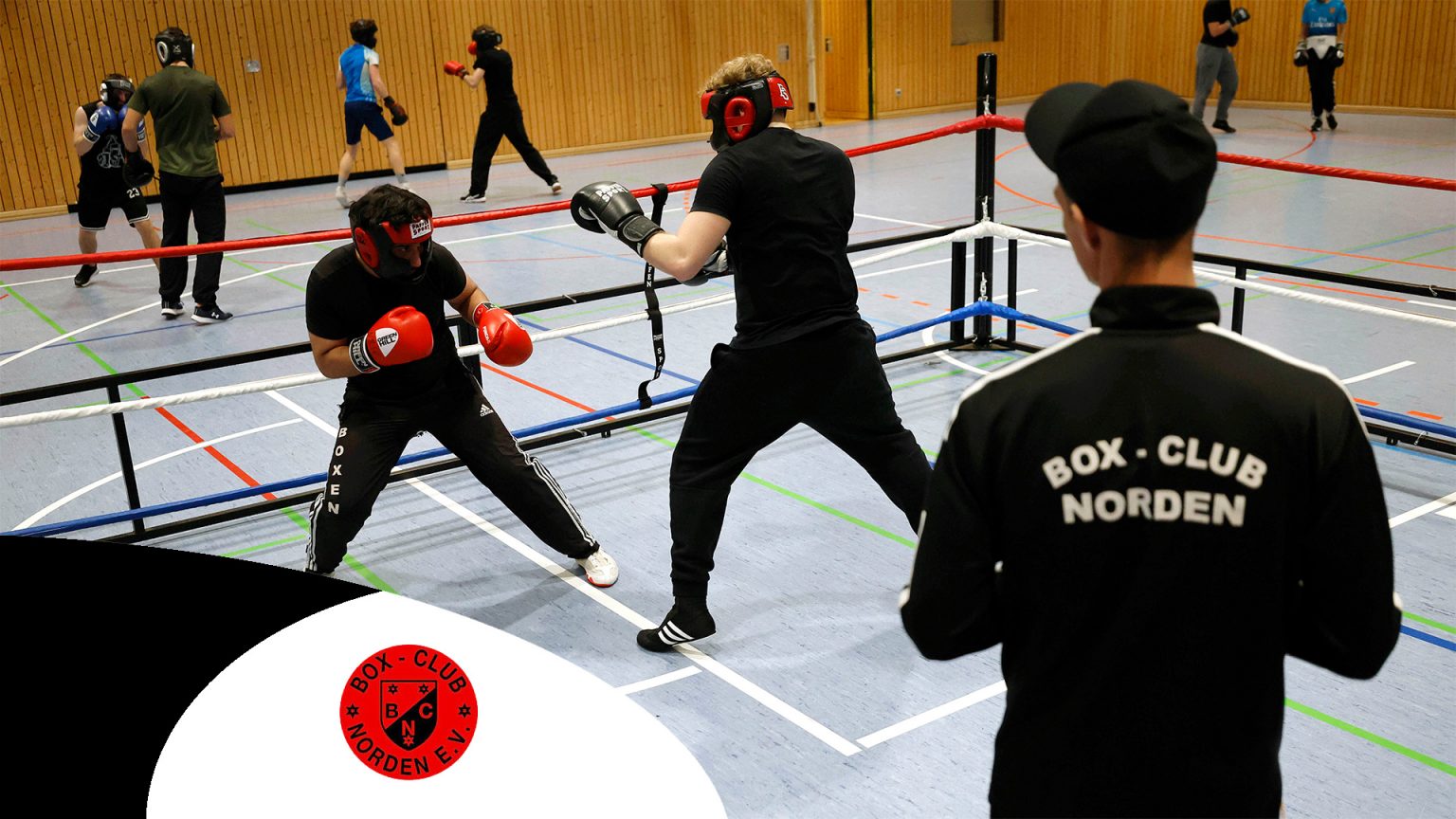 Start - Deutscher Boxsport-Verband e.V.